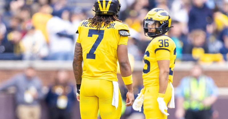 New Blue Preview: Getting to know new Michigan defensive back TJ Metcalf