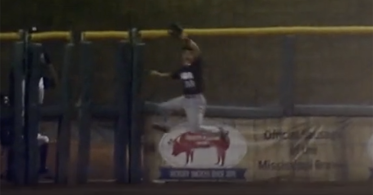 WATCH: TJ Hopkins makes an insane catch