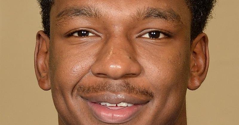 Update on Tramal Ivy