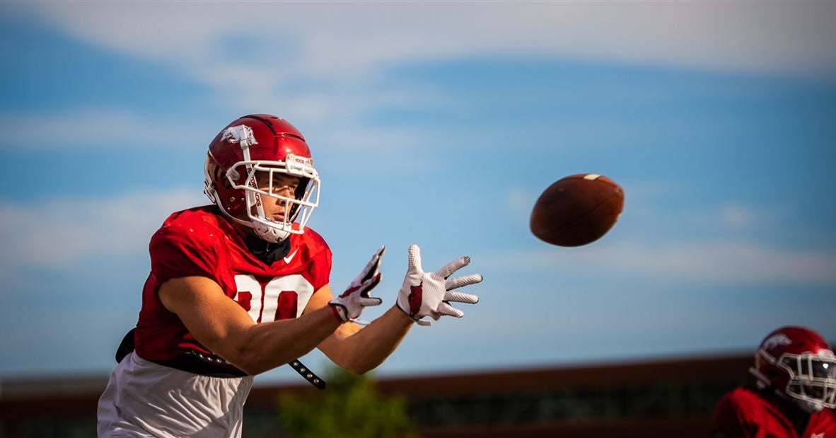 Emergence from Draper key for Arkansas linebackers