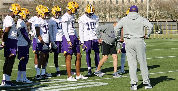 Get to know LSU's wide receivers for 2018