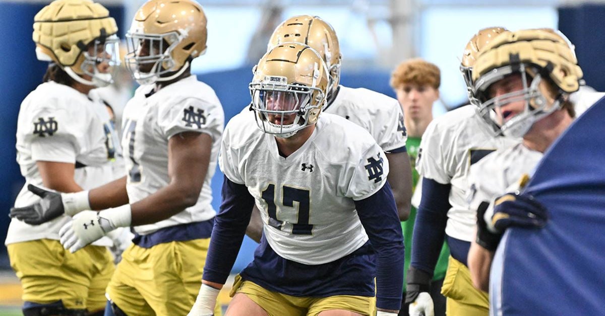 Counting Down The Irish — DL-Brenan Vernon