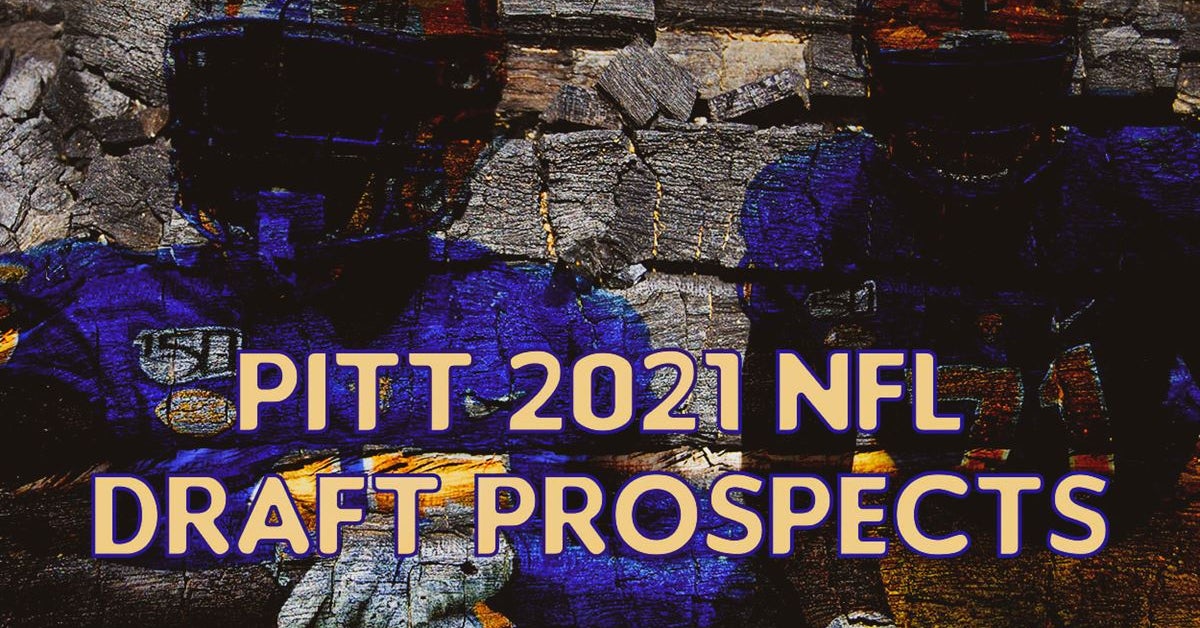 Former Pitt Panthers Bryce Hargrove and Jason Pinnock impress at ...