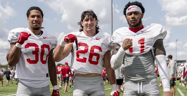 Payton Pierce steps up as Ohio State's No. 3 linebacker