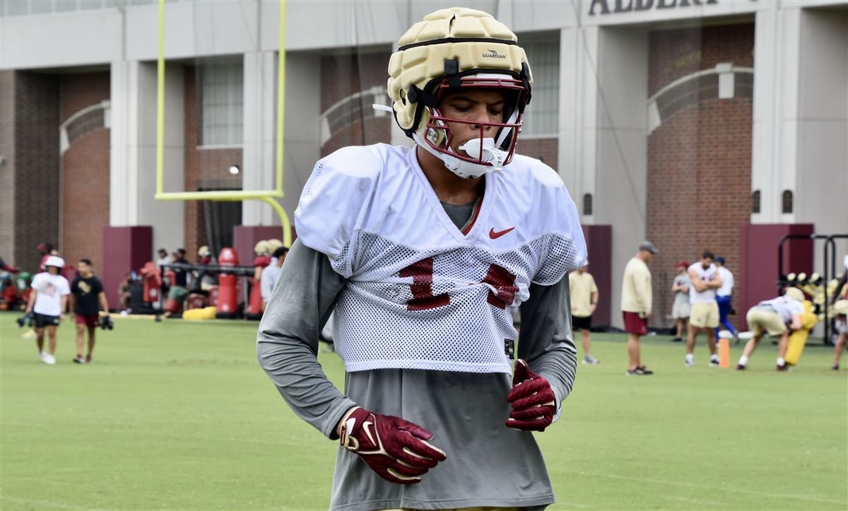 Johnny Wilson excited for FSU's dynamic offense: “I’ve never been on a ...