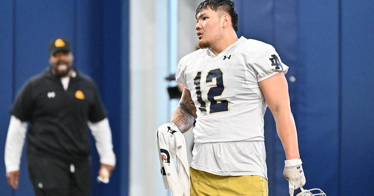 Notre Dame EDGE Jordan Botelho Signs with Minnesota Vikings as ...