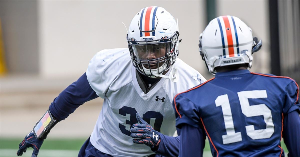Tre Williams Embraces Leadership Role for Auburn Football Team