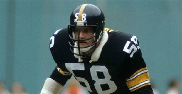 The greatest regular seasons in Pittsburgh Steelers' history