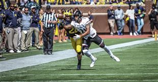 Brandon Watson, Michigan, Safety