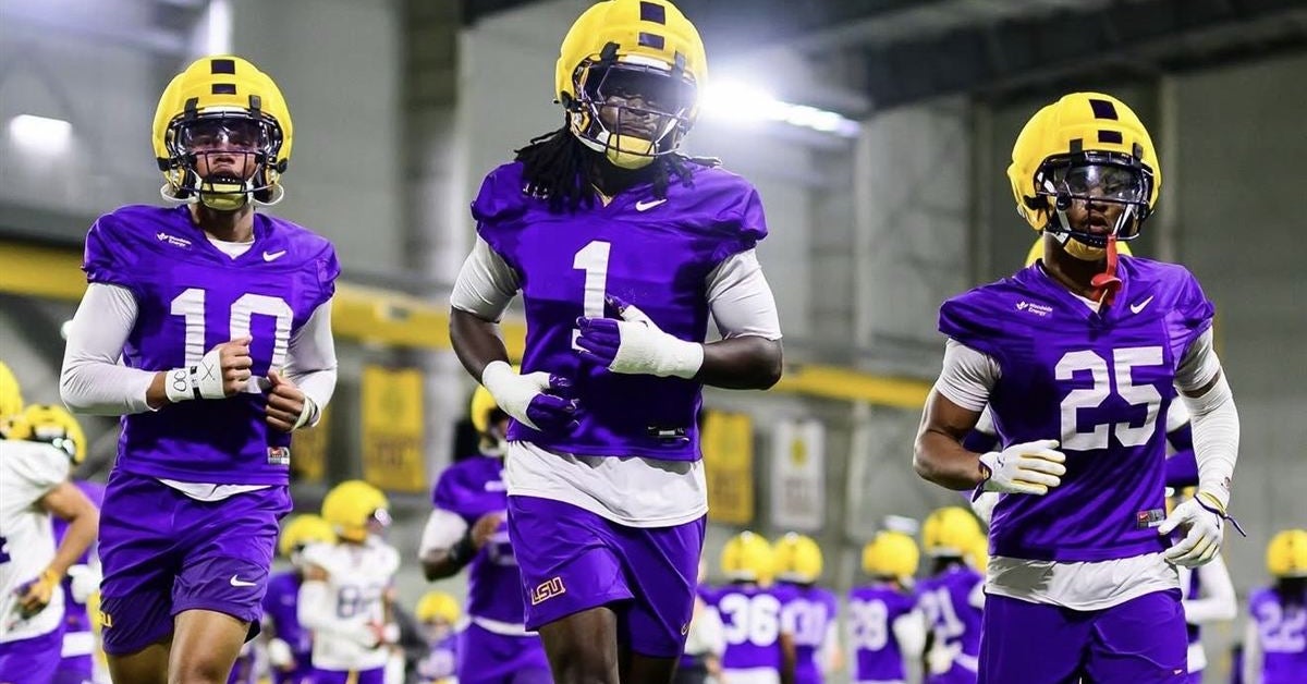 Three under-the-radar newcomers poised to make an impact for LSU football