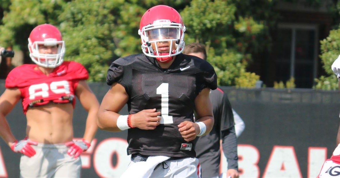 Photos: Scenes from UGA's 7th spring practice