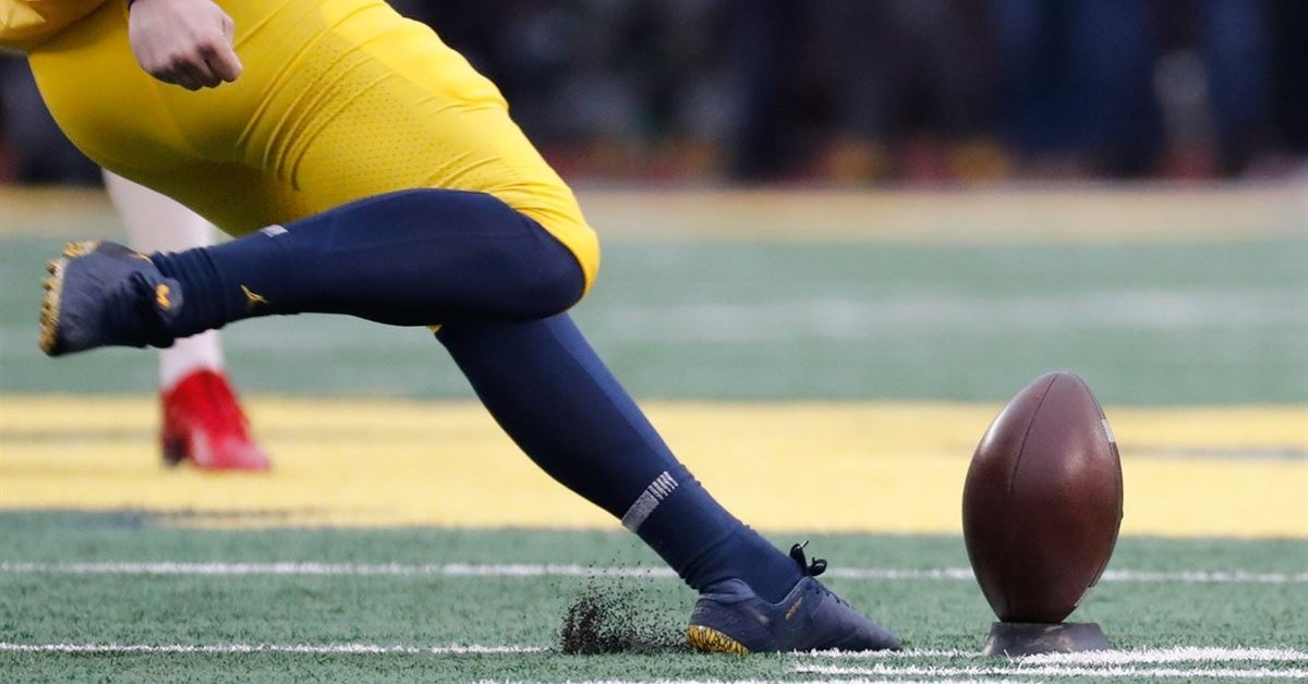 Backup Michigan kicker enters NCAA Transfer Portal