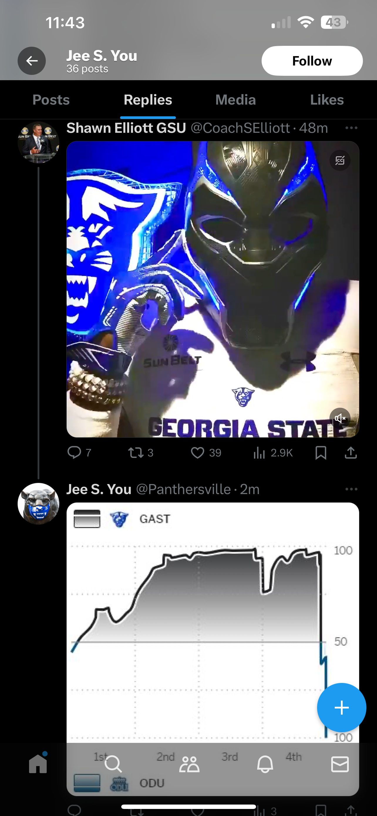 Football Cat Signals