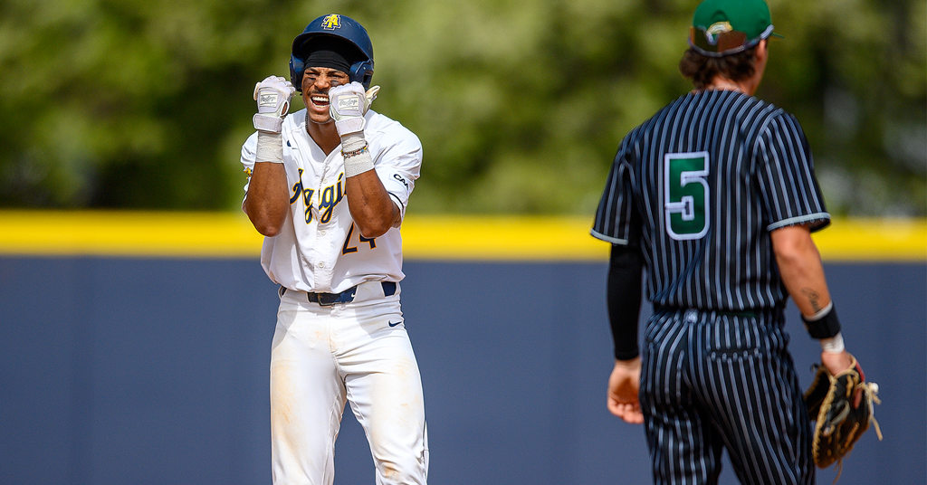 Diamond Aggies: N.C. A&T baseball is off to a great season but needs ...