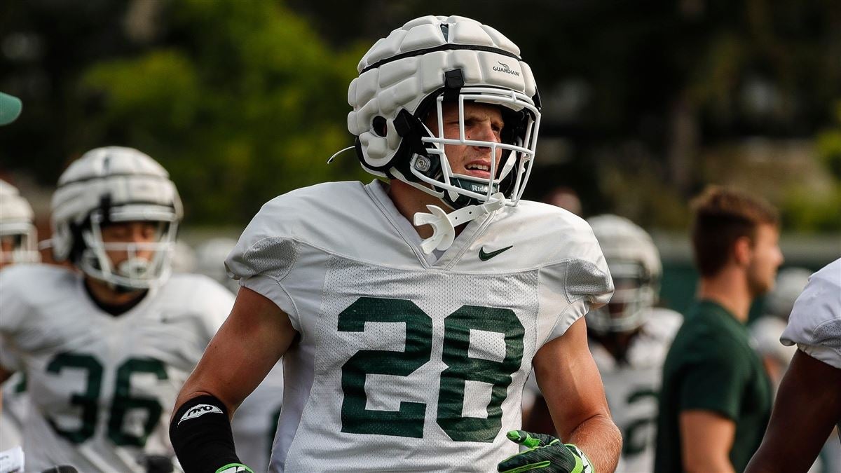 Michigan State S Tate Hallock enters transfer portal