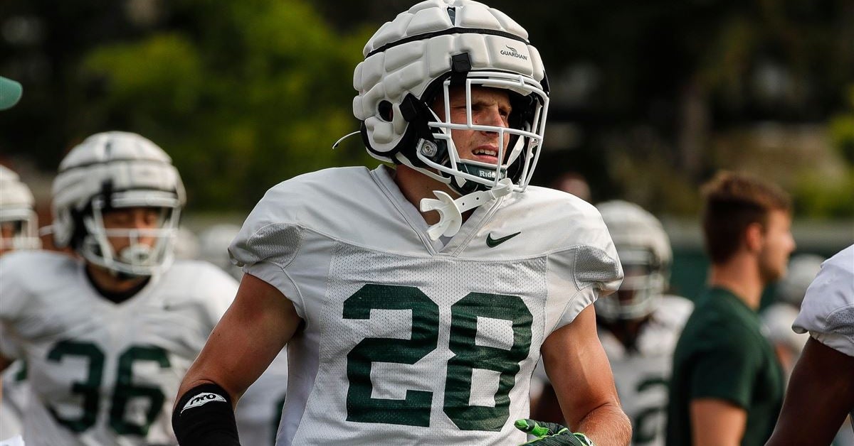 Michigan State S Tate Hallock enters transfer portal