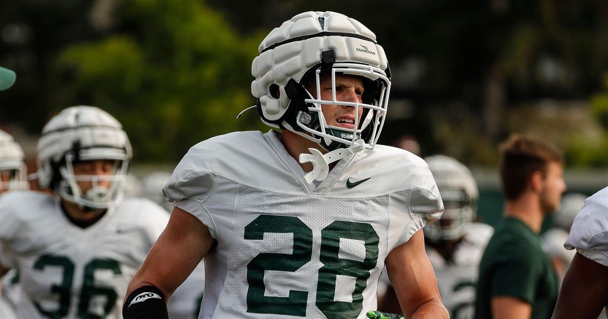 Michigan State S Tate Hallock enters transfer portal