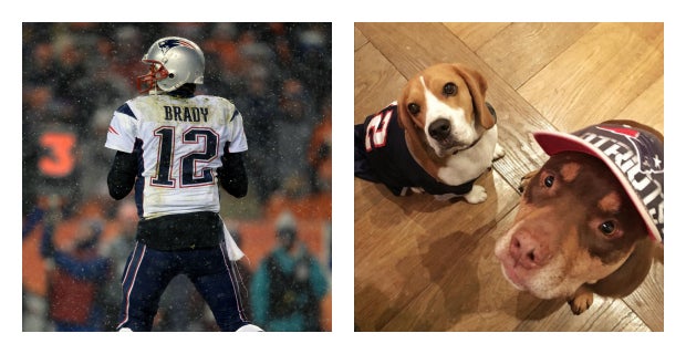 30 NFL players and their pets