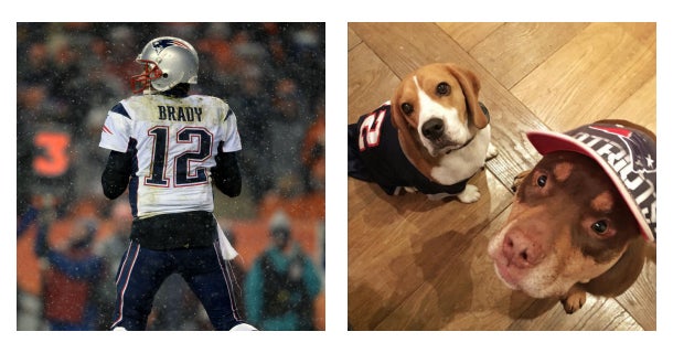 30 NFL players and their pets