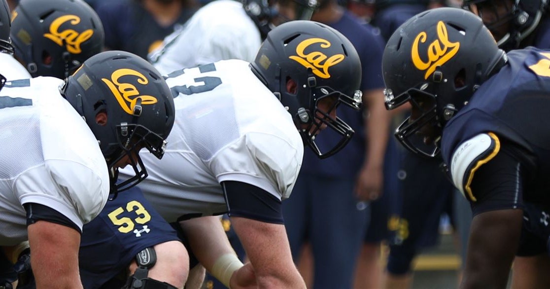 Michael Saffell: A Big Piece of the Pie