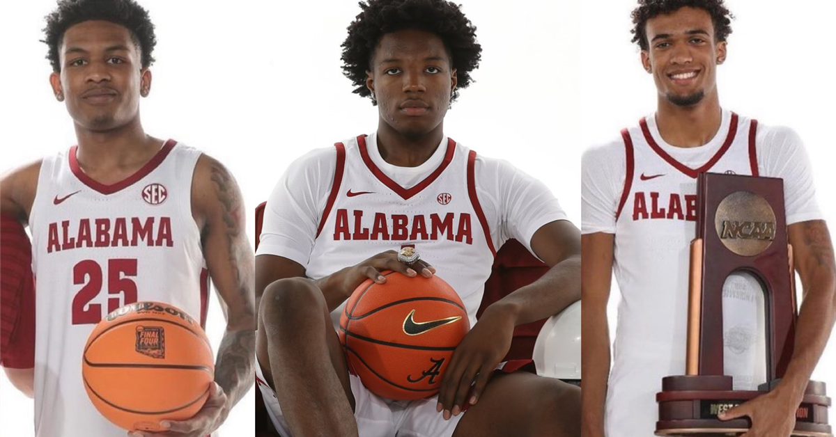 'Great size, high IQ and skill level': Taking another look at the ...