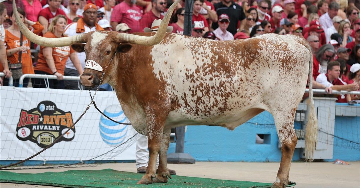 Could a new BEVO mean more wins for the Longhorns?