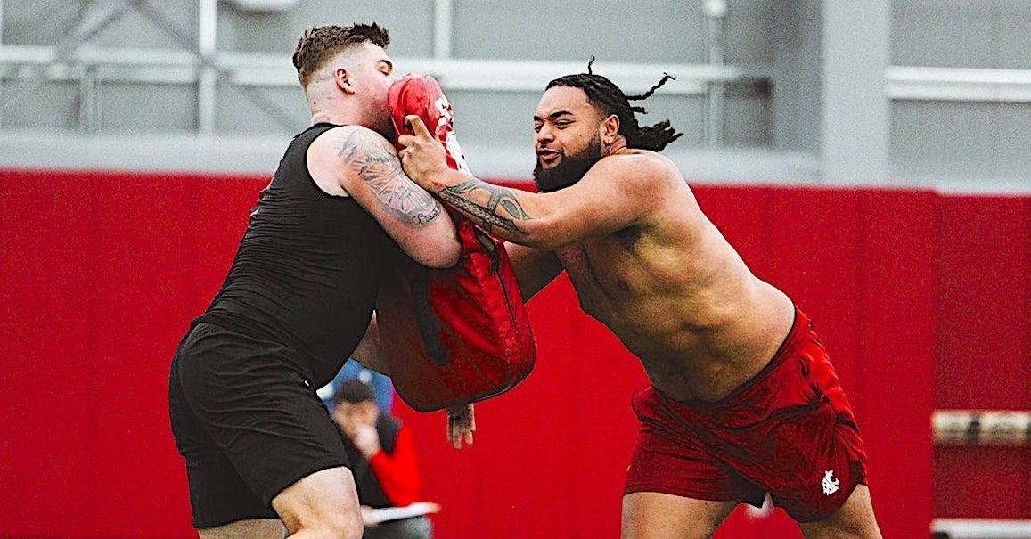 WSU Pro Day: Esa Pole has 'some 30 visits' set with NFL teams