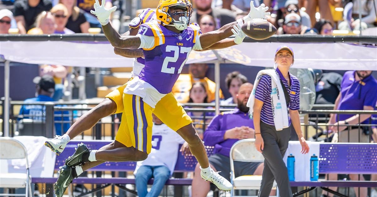 LSU cornerback Laterrance Welch entering NCAA transfer portal