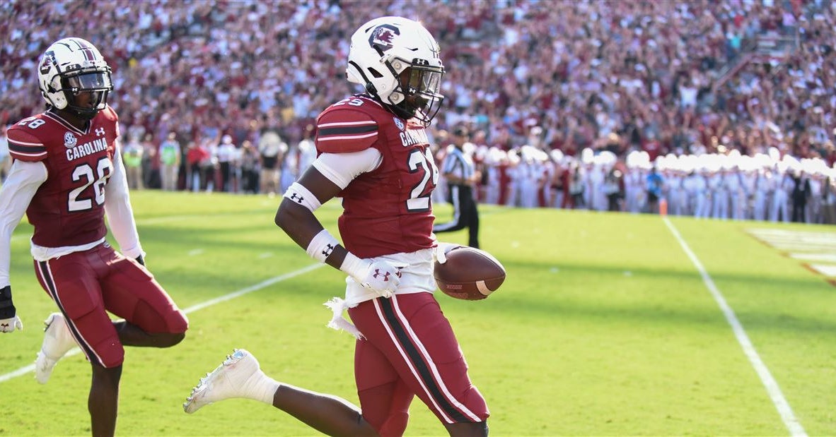 Gamecocks have their share of lower level portal hits