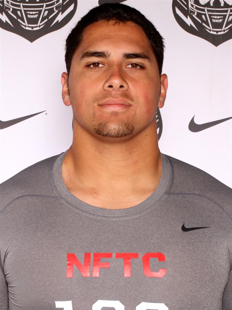 Ducks No. 1 for Manu