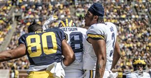 Brandon Watson, Michigan, Safety