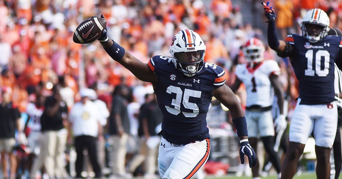 Most Valuable Tigers: No. 6