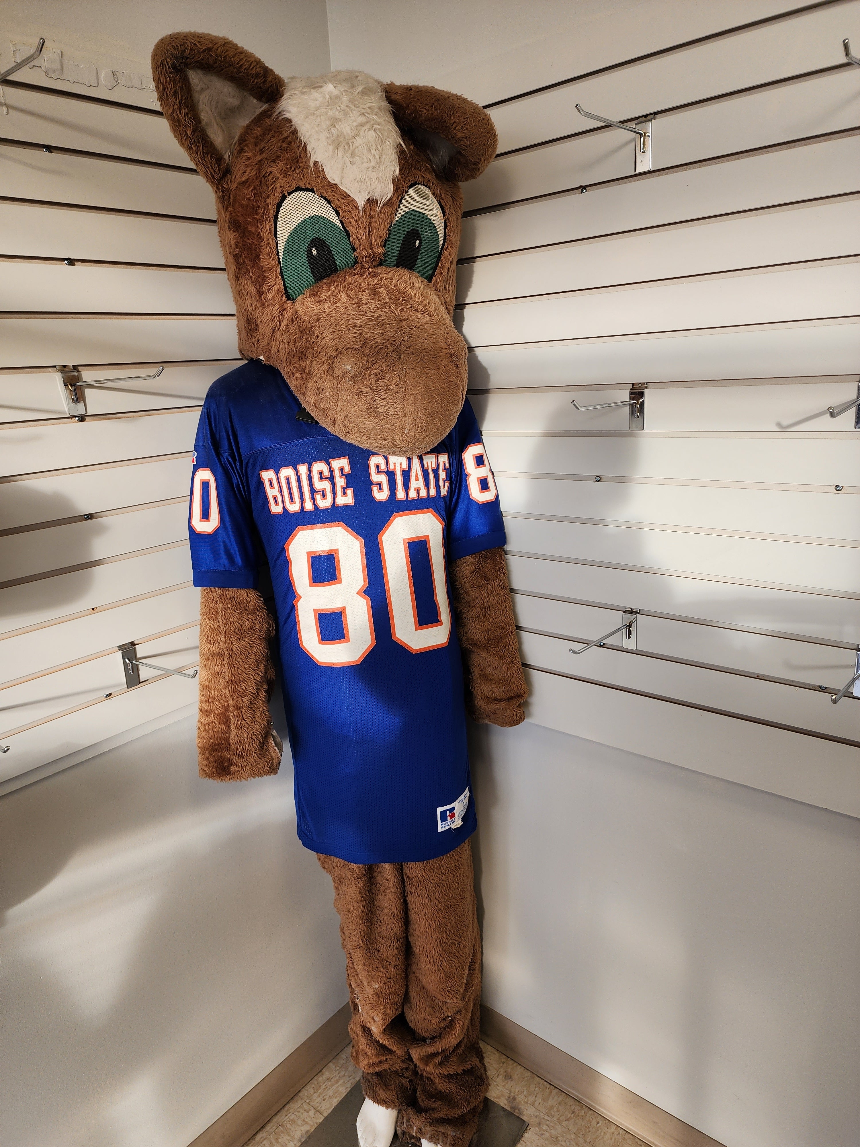 Buster Bronco Nostalgia