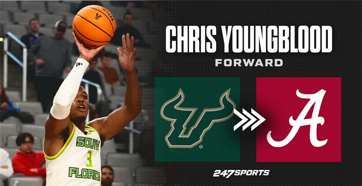 Sharp-shooting USF transfer Chris Youngblood, a Tuscaloosa-native ...