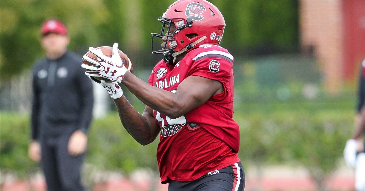 Final Gamecocks injury report