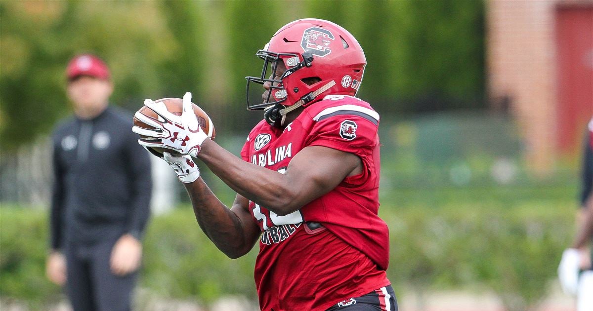 Final Gamecocks injury report