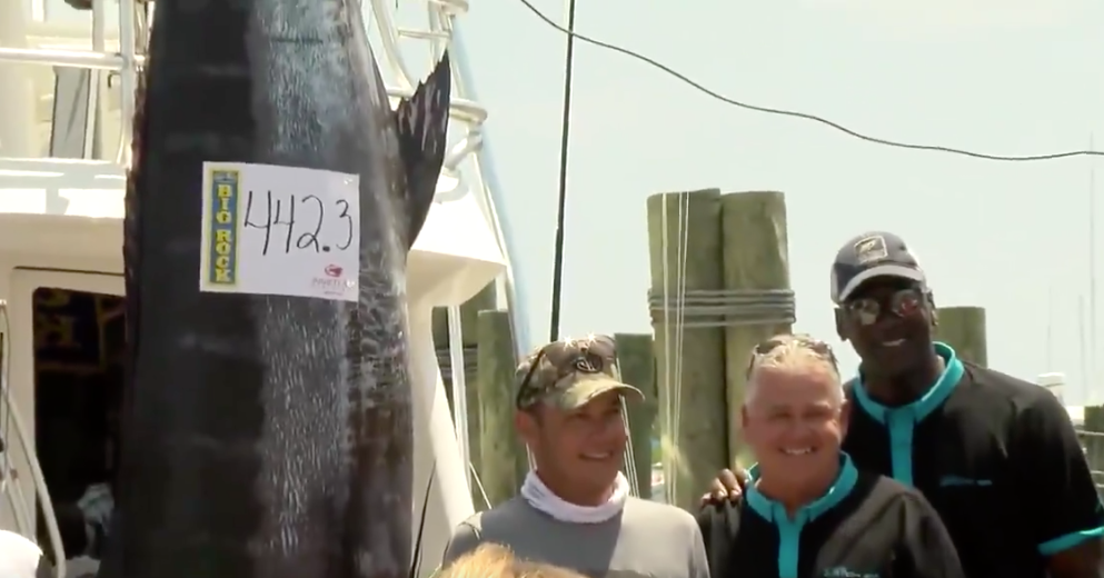 Watch: Jordan's 'Catch 23' Boat Arrives with 442.3 Blue Marlin