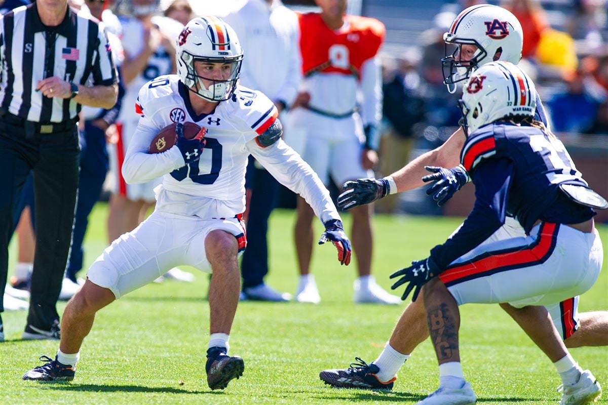IN PHOTOS: Auburn A-Day game