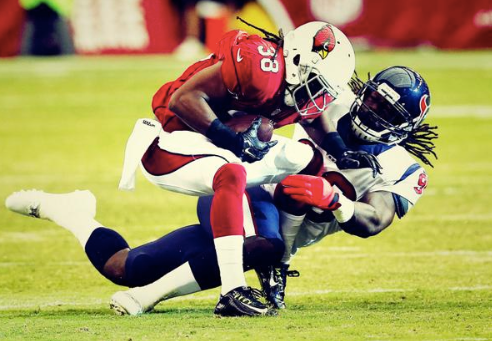 List of Gamecocks in NFL