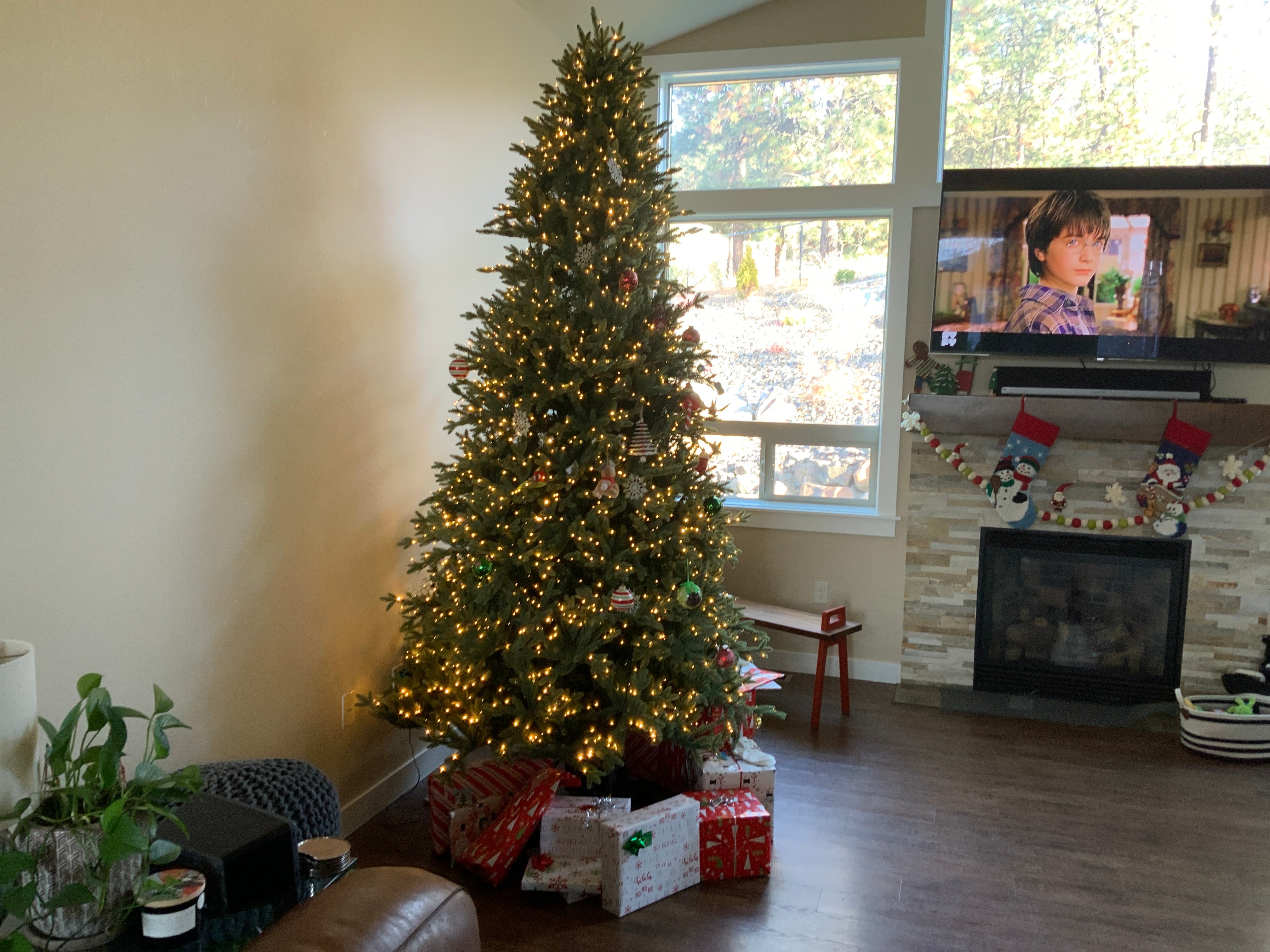 Official Christmas Tree thread