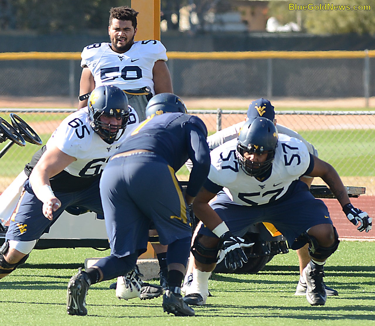 Photo Gallery II - West Virginia Cactus Bowl