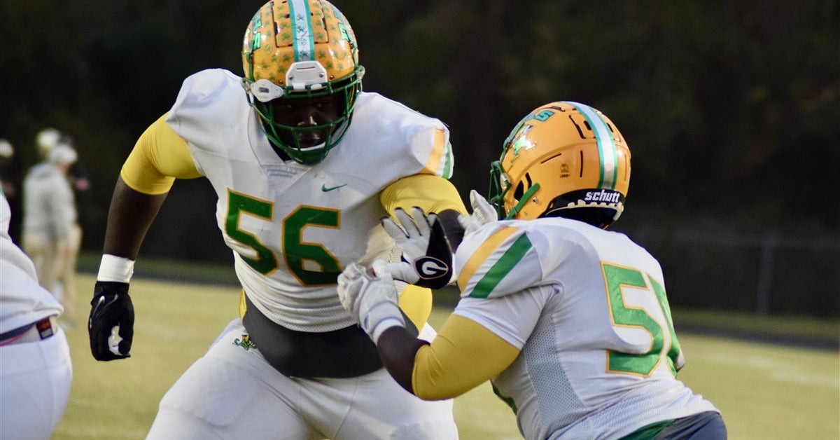 Georgia football: Nasir Johnson highlights from the newest 4-star commit