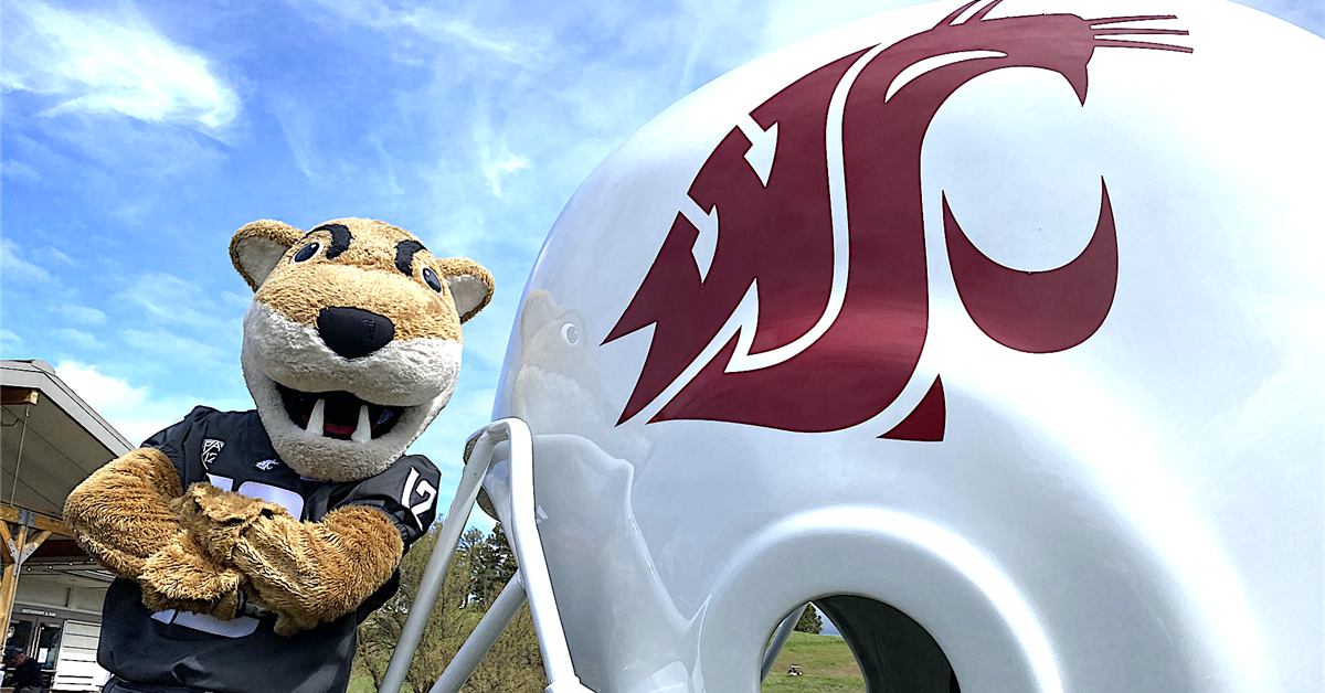 WSU football weekends get makeover but beer announcement awaits
