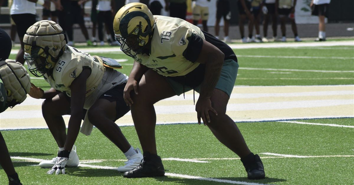 Stay Wolk: Georgia pushing for ACC commit, big OL decision coming soon