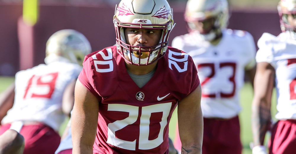 Ten Impact Freshmen for FSU football