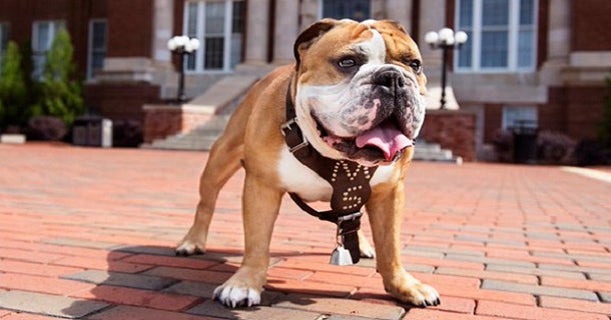 Four-Star Jaylah Lampley is officially a Bulldog