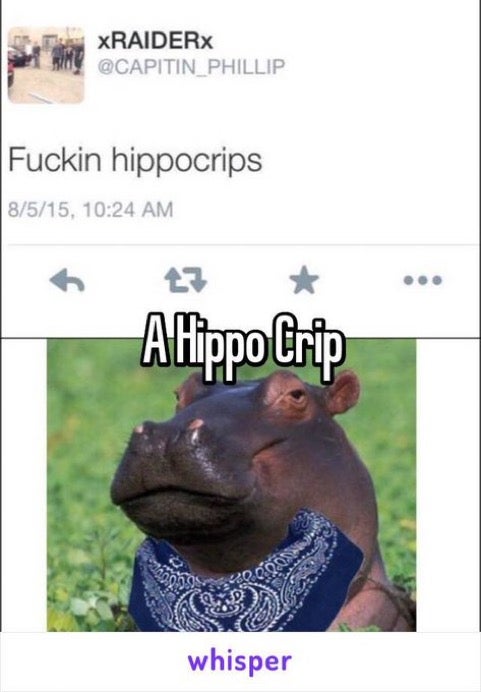 Thomas Goldcamps: You Lurk. Why Not Post?