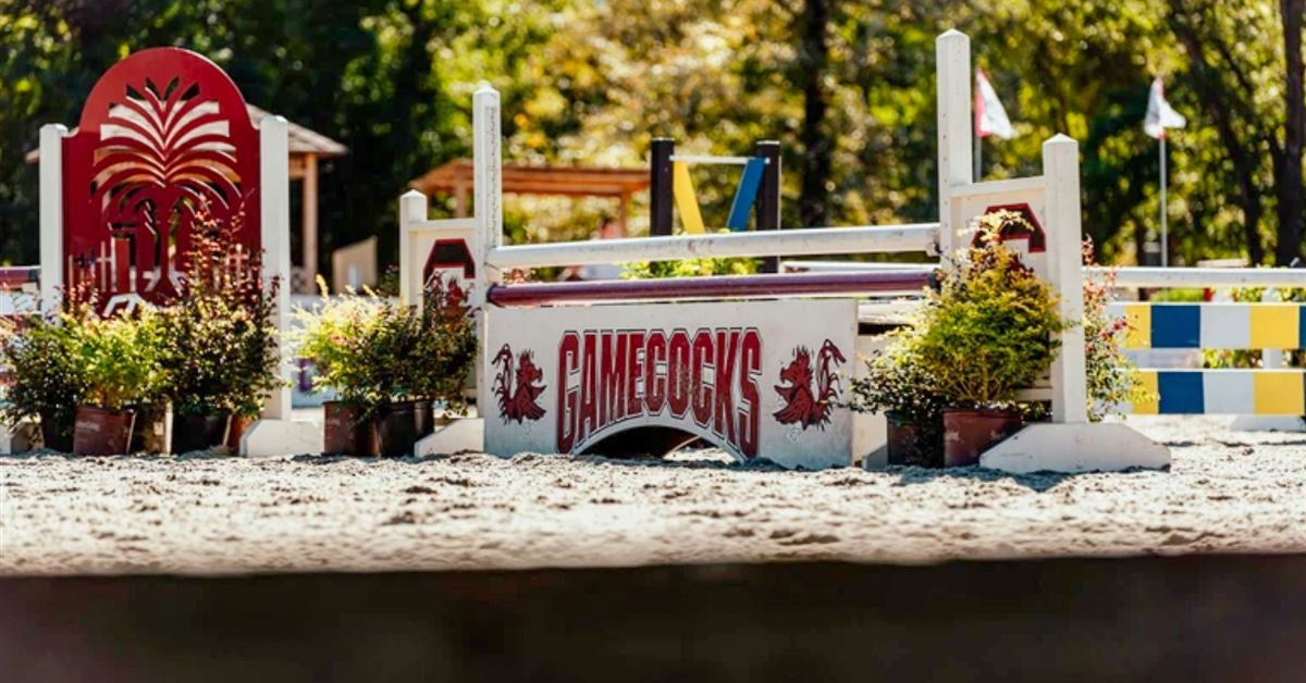 Carol Gwin: 'It wasn't a fluke'