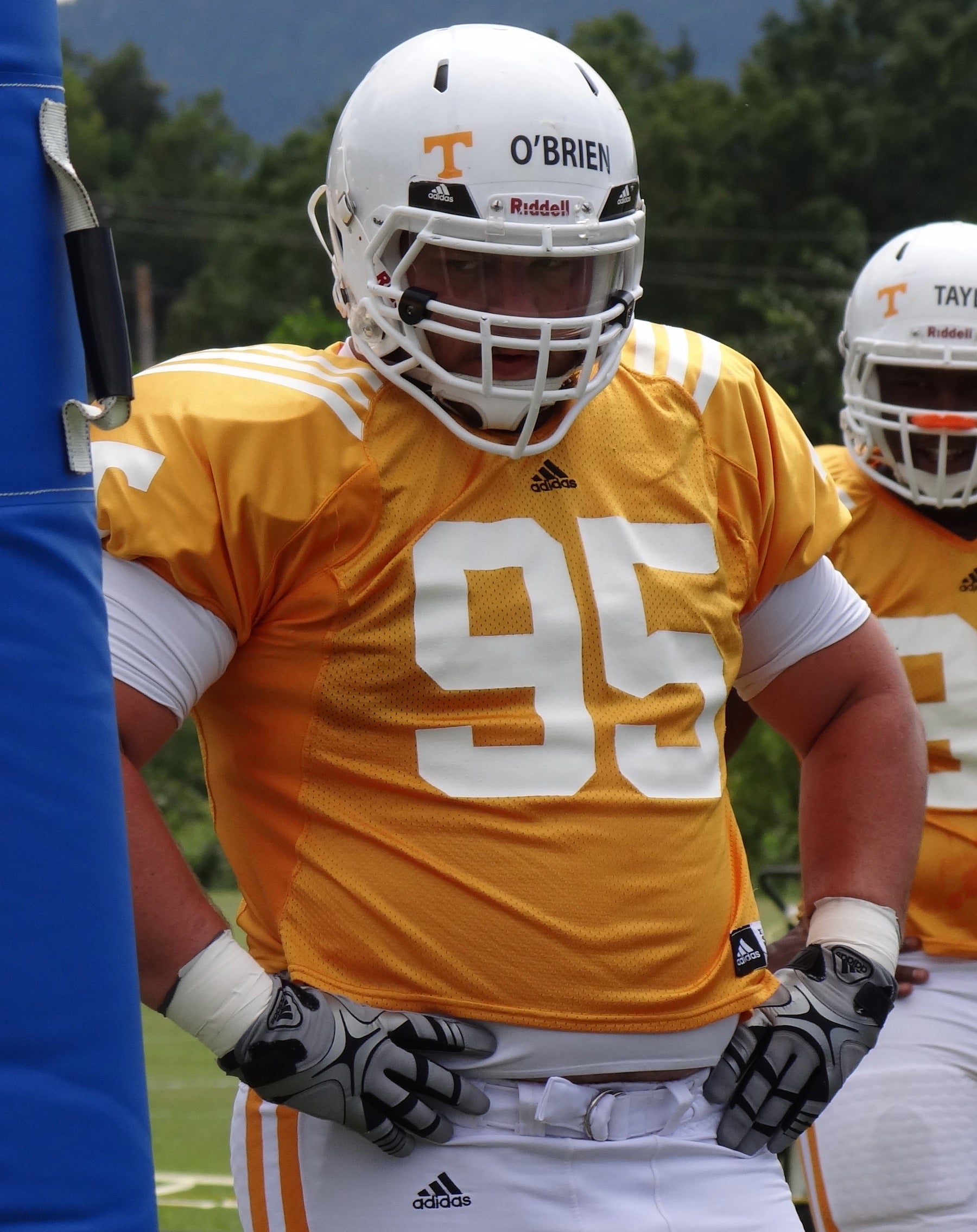 Second-Year Surge: Danny O'Brien