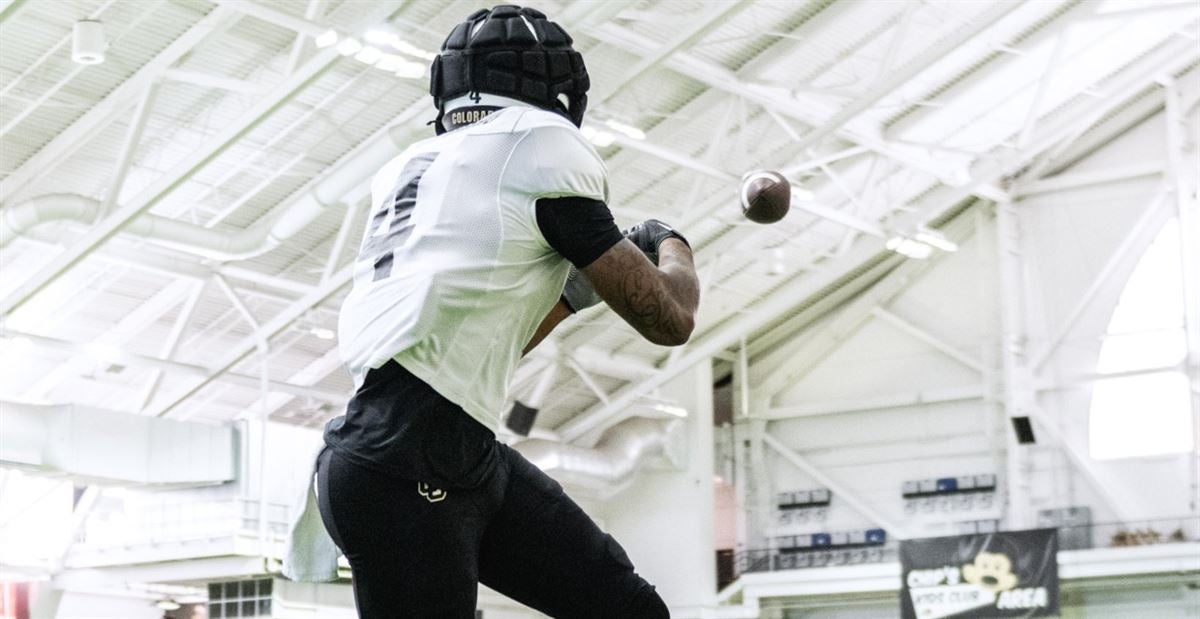 Sean Niehoff - Journalist Profile - Intelligent Relations